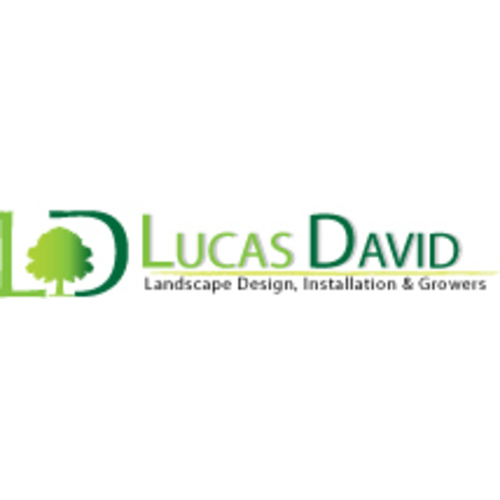 Lucas David Landscaping - Miami, FL