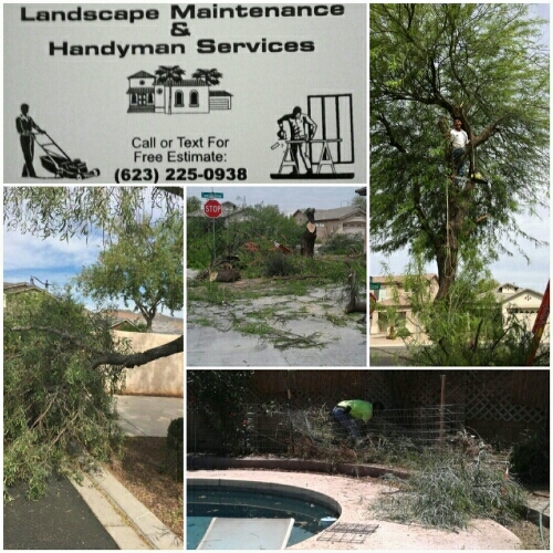 Handyman and Landscape Maintenance