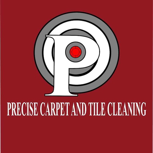 Precise Carpet and Tile Cleaning - Kissimmee, FL