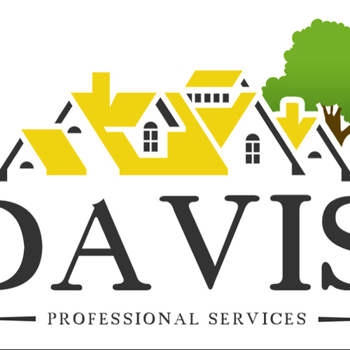 Davis Professional Services