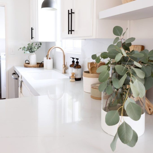 Botanical Cleaning Services